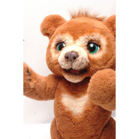 Furreal | Toys | Hasbro Furreal Cubby The Curious Bear Working ...